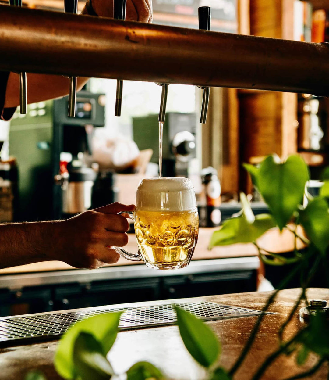 Our Beer – Burial Beer